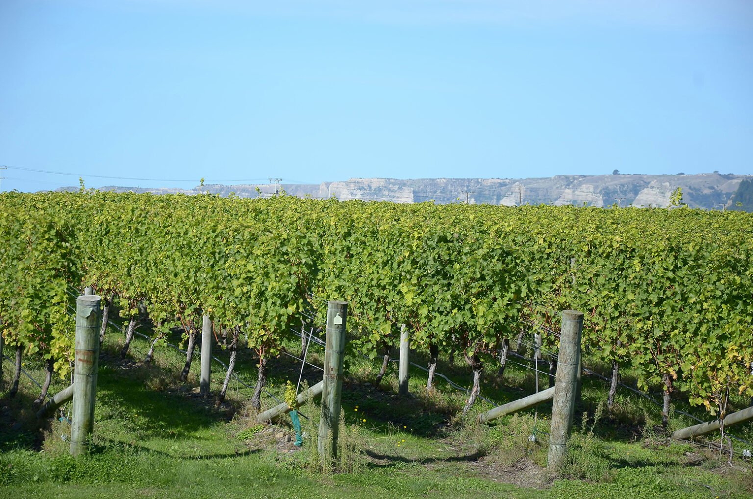 Hawkes Bay New Zealand visitor information